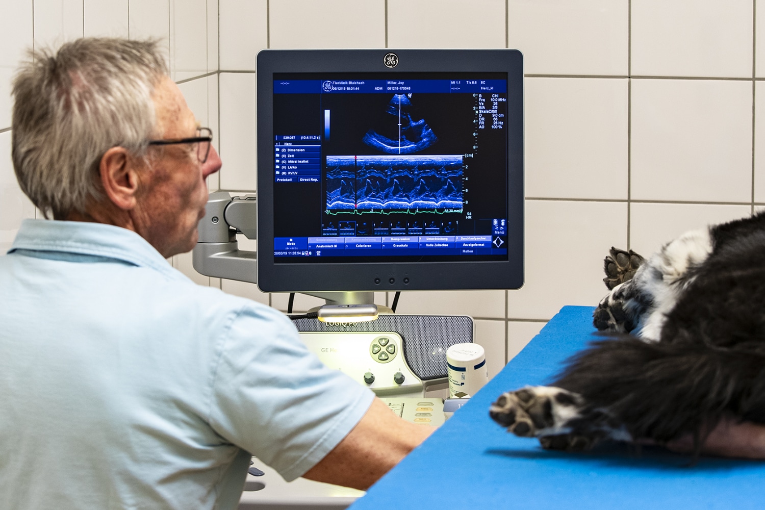 Ultraschall - Tierklinik Blaichach im Allgäu